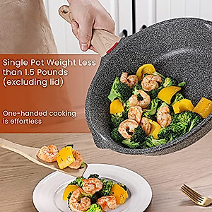 Starunder Induction Nonstick Skillet Frying Pan With Lid,Swiss Granite Omelette Pan, Scratch-Resistant Safe Cookware Set，PFOA Free(8 inch)