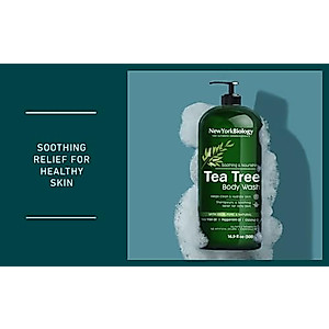 New York Biology Tea Tree Body Wash for Men and Women - Moisturizing Body Wash Helps Soothe Itchy Skin, Jock Itch, Athletes Foot, Nail Fungus, Eczema, Body Odor and Ringworm - 16.9 Fl Oz
