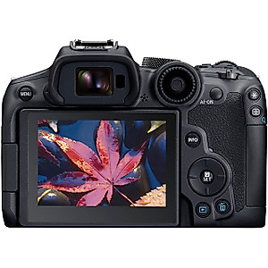 Canon EOS R7 Mirrorless Camera with 18-45mm & EF 75-300mm Lenses + Mount Adapter + 20 Essential Accessories for Content Creators