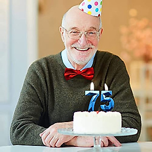 BLUE TOP 2.8 Inch Birthday Cake Candles Number Candles 3D Design Birthday Candles for Cake,Cake Topper Decoration for Kids,Adults,Party,Anniversary,Milestone Age.(DIY Blue Number 3)