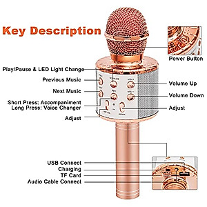 Alversun Wireless Karaoke Microphone for Kids, Bluetooth Karaoke Microphone Portable Handheld Singing Karaoke Mic Speaker Gifts for 3 4 5 6 7 Years Old Toys Girl Boy, Rose Gold