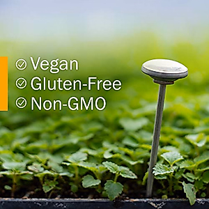 Herb Pharm Certified Organic Turmeric Root Extract for Musculoskeletal System Support - 1 Ounce (DTURM01)