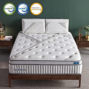 14 Inch Queen Mattress in a Box, Lechepus Plush Memory Foam Hybrid Mattress with Pocket Innerspring, Soft But Supportive Mattress for Pressure Relief, Queen Size 60"*80"