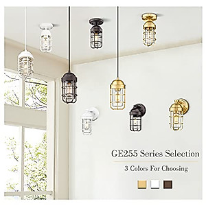 Emliviar Modern Gold Pendant Light with Metal Cage, Mini Ceiling Hanging Light with Clear Tempered Glass for Kitchen Dining Room, Gold Finish, GE255P BG