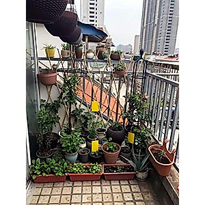 Faicuk 20-Pack Dual-Sided Yellow Sticky Traps for Flying Plant Insect Like Fungus Gnats, Aphids, Whiteflies, Leafminers - (6x8 Inches, Twist Ties Included)