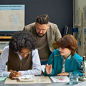 Anatomy Lab Shark Specimen for Dissection, for Biology Classrooms, Plain Injection 22-27 Inches, Vacuum Pack of 10