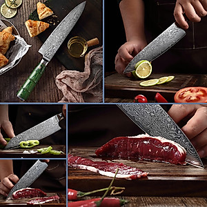 Damascus Chef Knife 8 inch- Razor Sharp Kitchen Knife Made of Damascus VG-10 Steel Special Chef's Knife for the Kitchen, Green Ebony Handle Ergonomic (8.03)…