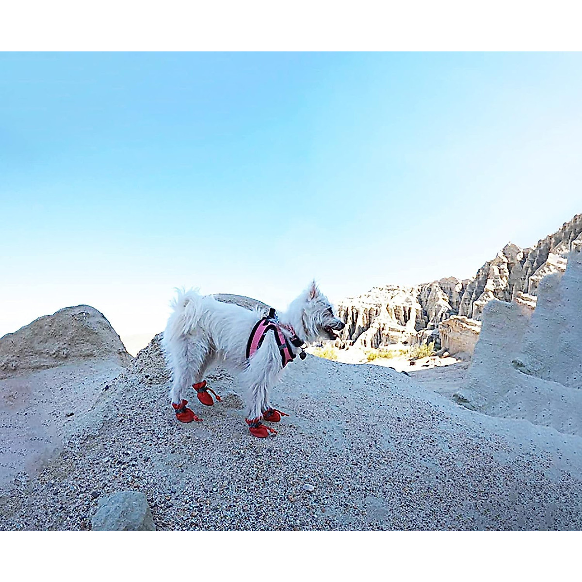 YAODHAOD Dog Shoes for Small Dogs, Anti-Slip Dogs Boots & Paw Protector for Winter Snowy Day, Summer Hot Pavement Dog Booties with Reflective Straps, Cat Dog Shoe for Indoor Hardfloors (Red,7)