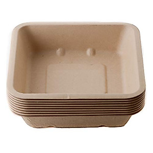 EcoQuality [50 PACK] 16oz Disposable Rectangular Container Take Out Food Tray - Natural Sugarcane Bagasse Bowl Bamboo Fibers Sturdy Compostable Eco Friendly Environmental Paper Alternative