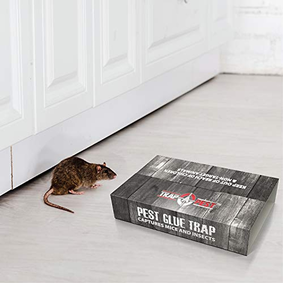 Sticky Mouse Traps Indoor for Home Ant Traps Indoor - Sticky Trap Indoor Home Bug Catcher Mice Traps for House Indoor Glue Traps Roach Trap Spider Traps for Inside Your Home (12 Traps)