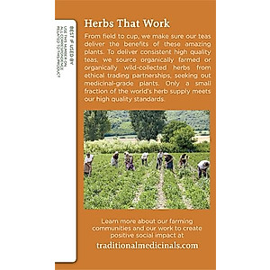 Traditional Medicinals Organic Gas Relief Chamomile Mint Herbal Tea, Relieves Gas & Bloating, (Pack of 1) - 16 Tea Bags