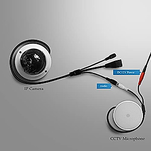SiZHENG COTTS30 CCTV Microphone Noise Reduction Home Microphone Exterior Security Recording Pickup -35dB Outdoor Microphone RCA Female for CCTV Security Camera System DVR Sound（AV Female）