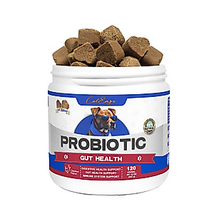 ColEaze Probiotics for Dogs, Organic Pumpkin with 6 Digestive Enzymes, Providing Probiotics for Gut Flora, Digestive Health, Occasional Diarrhea, 120 Count Chicken Flavor