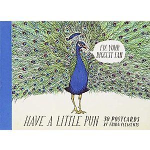 Have a Little Pun: 30 Postcards: (Illustrated Postcards, Book of Witty Postcards, Cute Postcards)