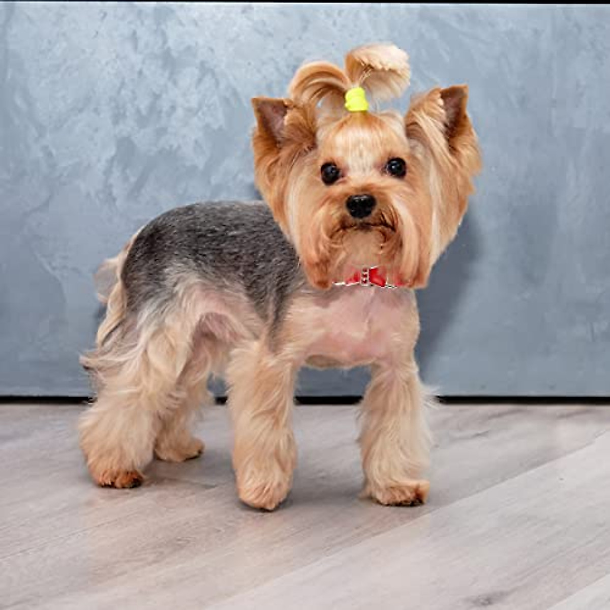 Personalized Dog Collars with Bling Rhinestone Pet Custom Padded Pu Leather Dog Collar for Small Size