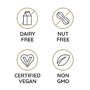 So Delicious Dairy Free Coconut Milk Yogurt Alternative, 0g Added Sugar Vanilla, Vegan, Gluten Free, Non-GMO, Creamy Plant Based Vanilla Yogurt Alternative, 5.3 Oz Container