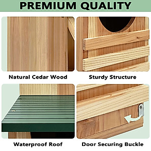 Prolee Screech Owl House Hand Made, 100% Cedar Wood Owl Box with Mounting Screws and A Bag of Wood Shavings, Easy Assembly Required (Basic)