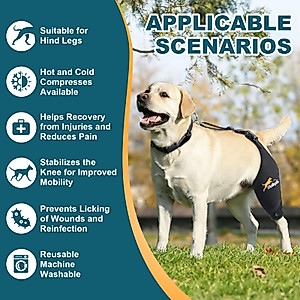 Dollephi Dog Knee Brace for Torn ACL Hind Leg, Hot/Cold Compress for Patella Dislocation or Osteoarthritis, Cruciate Ligament Injuries, for Medium & Large Dogs(Left Leg,L)
