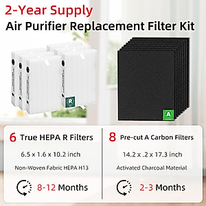 HPA300 HEPA Filter Replacement for Honeywell Air Purifier 6 HEPA R Filters and 8 Pre-cut A Carbon Pre-filter