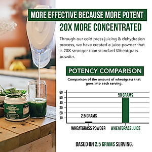Organic Wheatgrass Juice Powder - Organic, Grown in Volcanic Soil of Utah - Raw BioActive Form, Cold-Pressed Then CO2 Dried, 20:1 Concentrate Juice Extract - Unflavored (5.3 oz – 50 Servings)