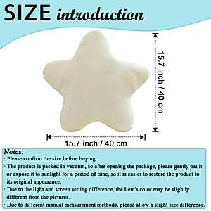 zhidiloveyou Star Pillow Plush White, Stuffed Star Shaped Pillow Cute Toy for Kids 15.7 inch