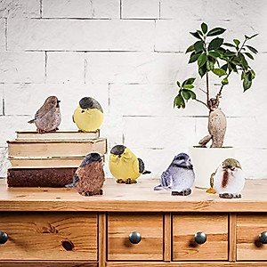 Sanbege Bird Statues, Bird Figurine Home Decor, Bird Sculpture for Garden, Birdhouse, Bird Theme Decor, Set of 6
