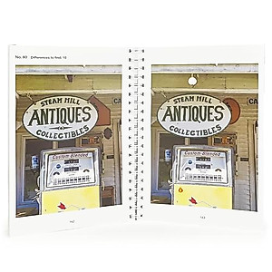 Picture Puzzles: Spot the Difference: More Than 1,000 Differences to Find! Adult Puzzle Book Includes Spiral Bound / Lay Flat Design (Brain Busters)