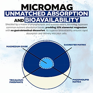 Nootropics Depot MicroMag Magnesium Capsules | 625mg | 90 Count | Contains 200mg of Elemental Magnesium