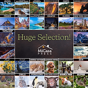 MICASA Wild & Beautiful Beaches 2024 Hangable Monthly Wall Calendar | 12" x 24" Open | Thick & Sturdy Paper | Giftable | Beautiful Tropical Scenic Travel Nature | Your Daily Getaway