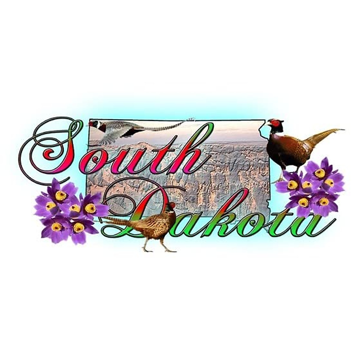 CafePress South Dakota Mug Ceramic Coffee Mug, Tea Cup 11 oz
