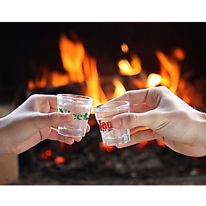 2 Shot Glasses - Christmas Naughty & Nice Novelty Glass Set - 1.5 oz Green Red Fun Gift Wrapped Boxed - Unique Fun Funny Gag Present For Him Her - Liquor Drinking Game