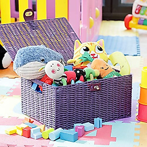 ARPAN Large Resin Woven Storage Basket Box with Lid & Lock, Purple