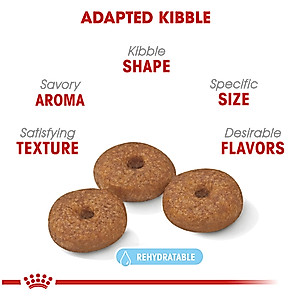 Royal Canin Small Aging 12+ Dry Dog Food, 2.5 lb bag