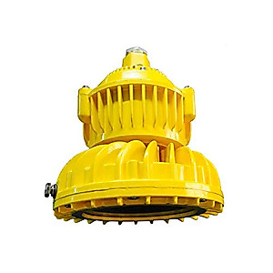 100w led Explosion-Proof Light high Bay Explosion Proof led Light with Exdemb II CT6 and Anti-Corrosion Rating WF2, IP66 Waterproof ATEX LED Gas Station Light (100)