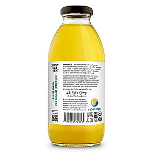 Just Ice Tea Organic Original Green Tea, 16 FZ