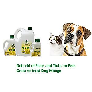 Deepthi Pure Neem Oil for Plants - Concentrated - Cold Pressed - Spray for Indoor Outdoor Garden - 100% Neem Oil – Controls Mildew - 33.8 Fluid Oz (1000 ml)