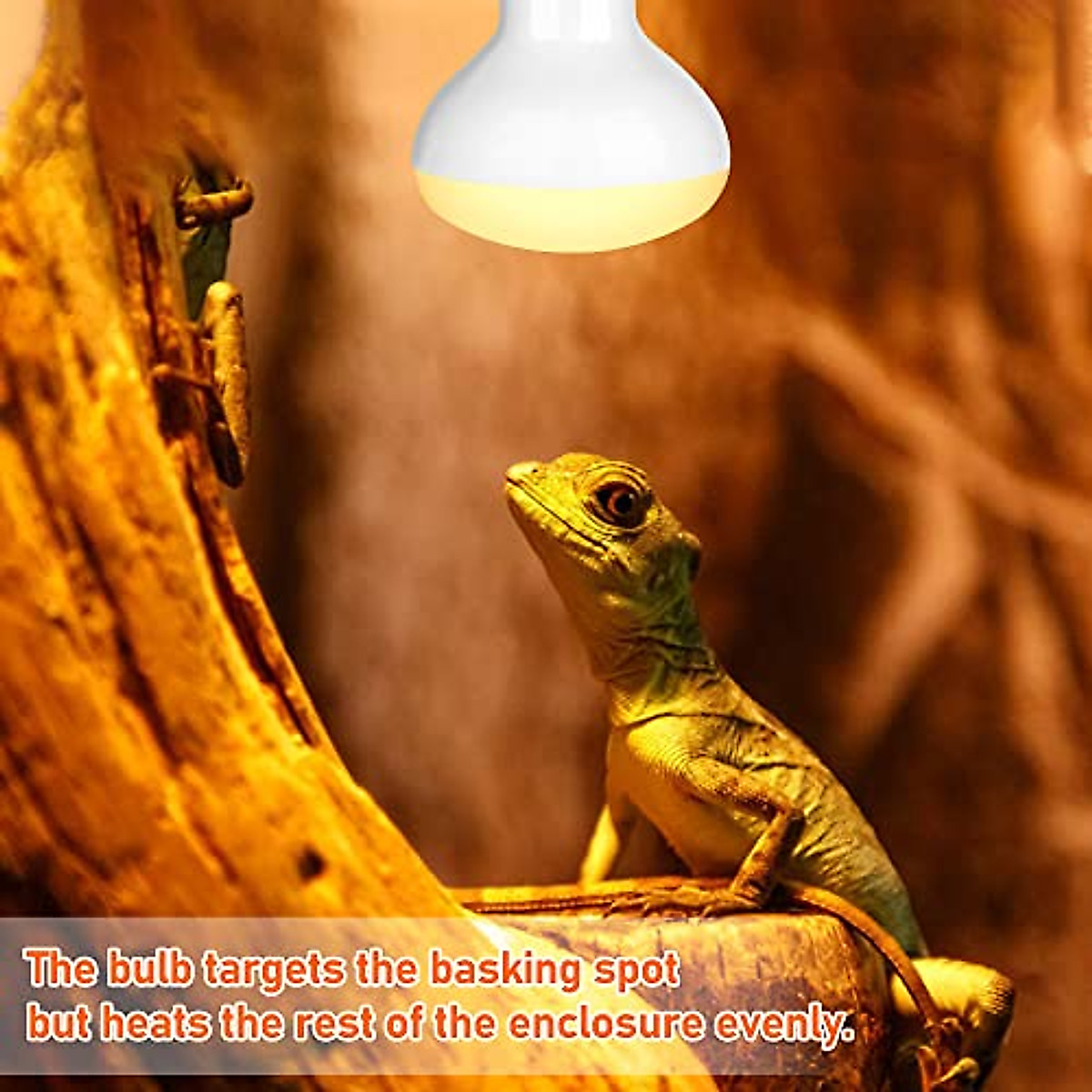 NEPTONION Reptile Heat Lamp 75W UV Heat Light Bulb, Basking Daylight Spot Bulb for Lizard, Tortoise, Bearded Dragon (E26,110V)