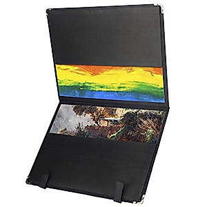 VViViD Black Portable Classic-Style Flat Cachet Portfolio (16" x 21.5")