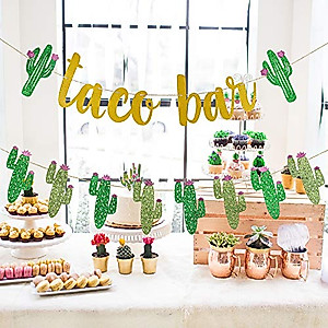 Fiesta Taco Bar Banner and Cactus Garland Banner for Mexican Party Banner Mexican Party Taco Bar Decorations, Cinco De Mayo Party Banner Decorations