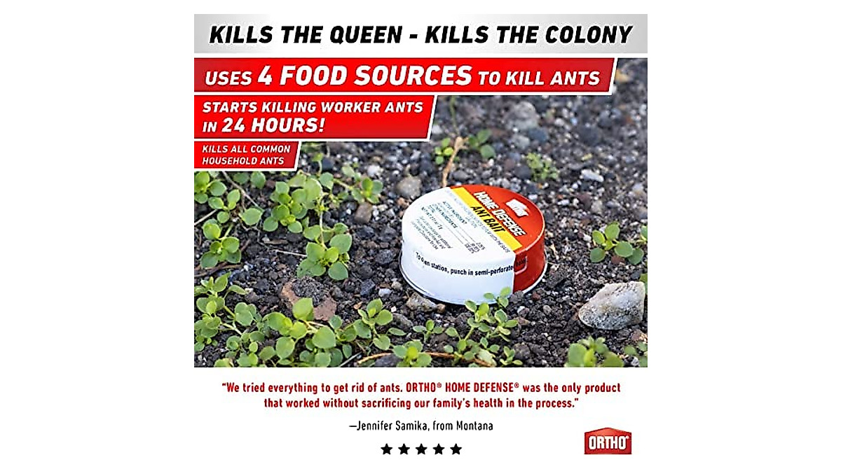 Ortho Ant Traps Indoor & Outdoor - 10 Pack Killer