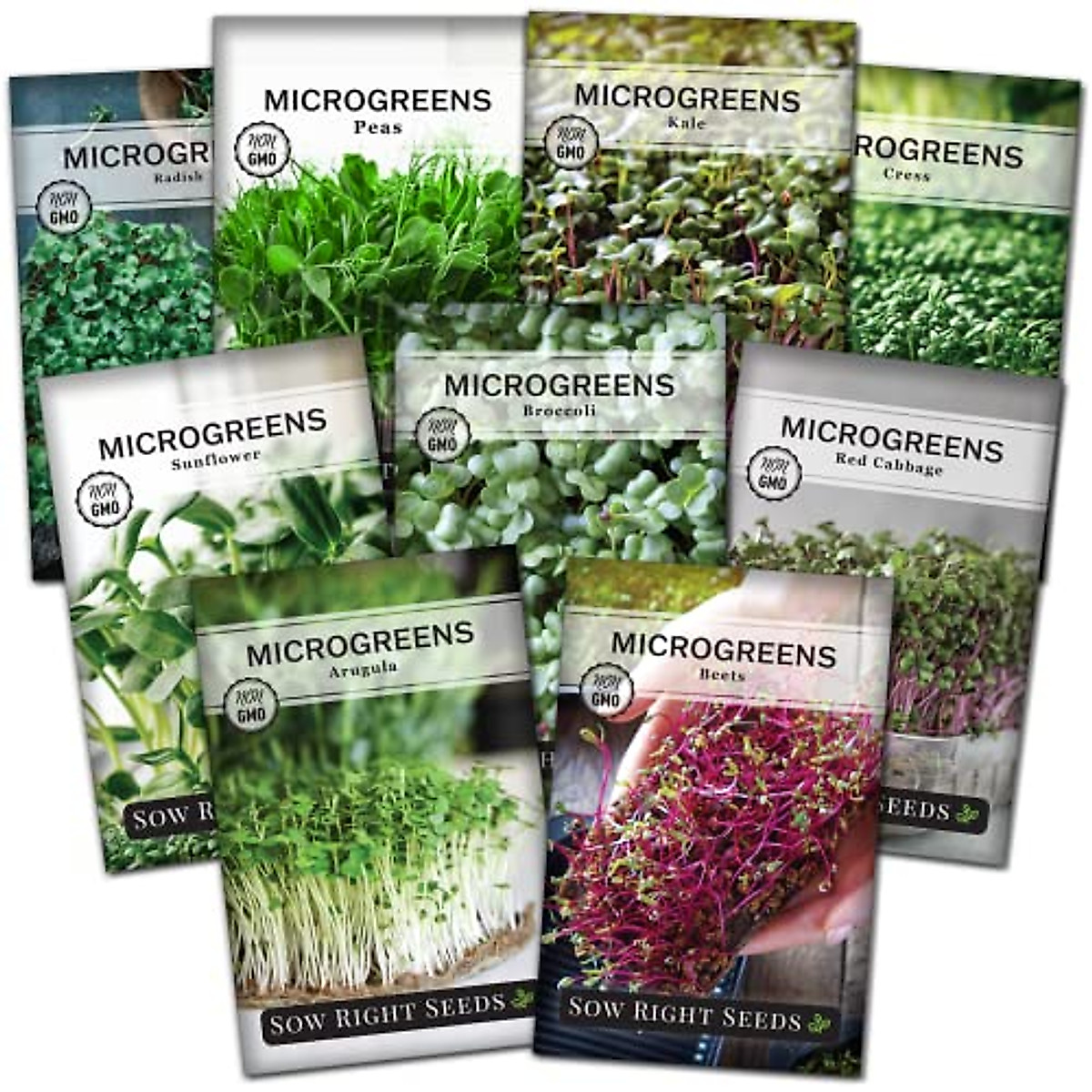 Sow Right Seeds - Microgreens Seed Sample Pack - 9 Packets of Healthy Superfoods to Sprout and Grow Indoors on Your Kitchen Counter. Broccoli, Cress, Sunflower, Arugula, Kale, Radish, Pea, and More