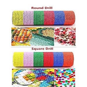 Peacock flower Diamond Painting Diamond Art DIY Paint by Numbers 5D Diamond Painting Kits for Adults, Large Diamond Dots Crystal Gem Art Rhinestone Crafts for Home/Room/Wall Decor (40 X 20 Inch),C276