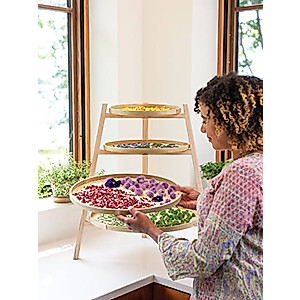 Gardener's Supply Company | Wooden Bamboo Herb Drying Rack | Floor Or Countertop Free Standing 4 Layers | with Removable Bamboo Mesh Trays | 20-1/2" W x 25" H