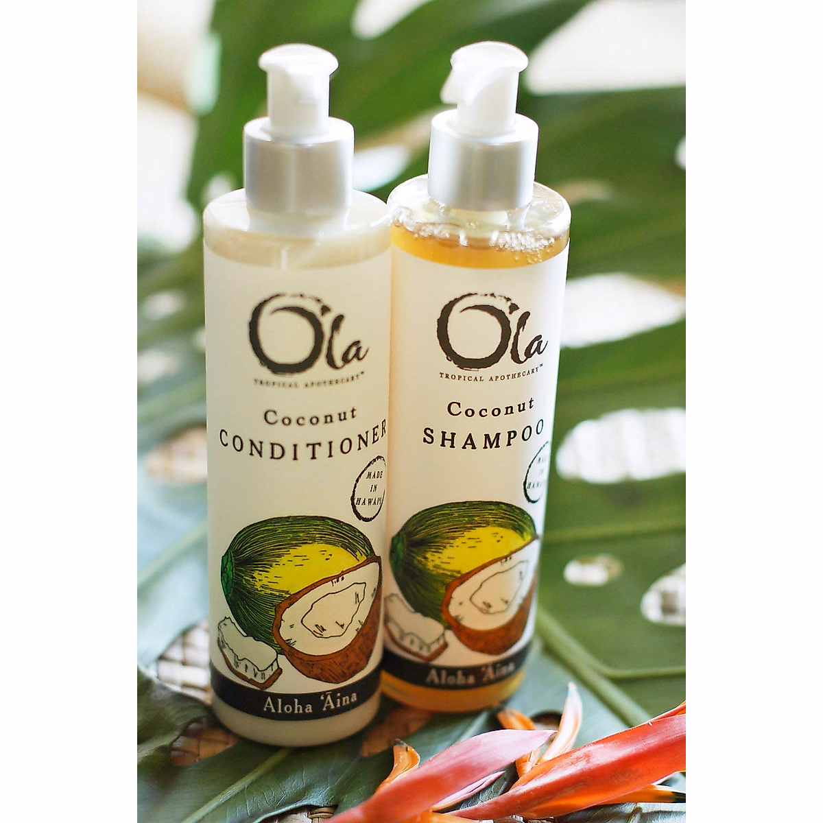 Tropical Apothecary Ola Coconut Organic Shampoo and Conditioner Hair Pair Combo - 8 Fl Oz each