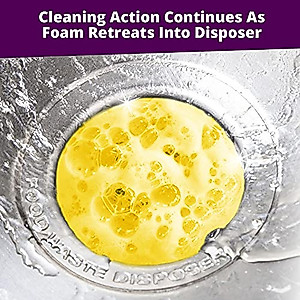 Rejuvenate Disposer and Pipe Cleaner, Lemon Scent, 6 Pods, 7.1 oz (201g)