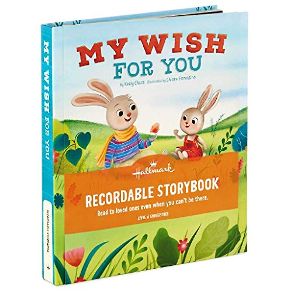 HMK My Wish for You Recordable Storybook