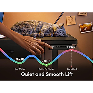 FEZIBO Adjustable Height Electric Standing Desk with Double Drawer, 48 x 24 Inches Stand Up Home Office Desk with Splice Tabletop, Black Frame/Black Top