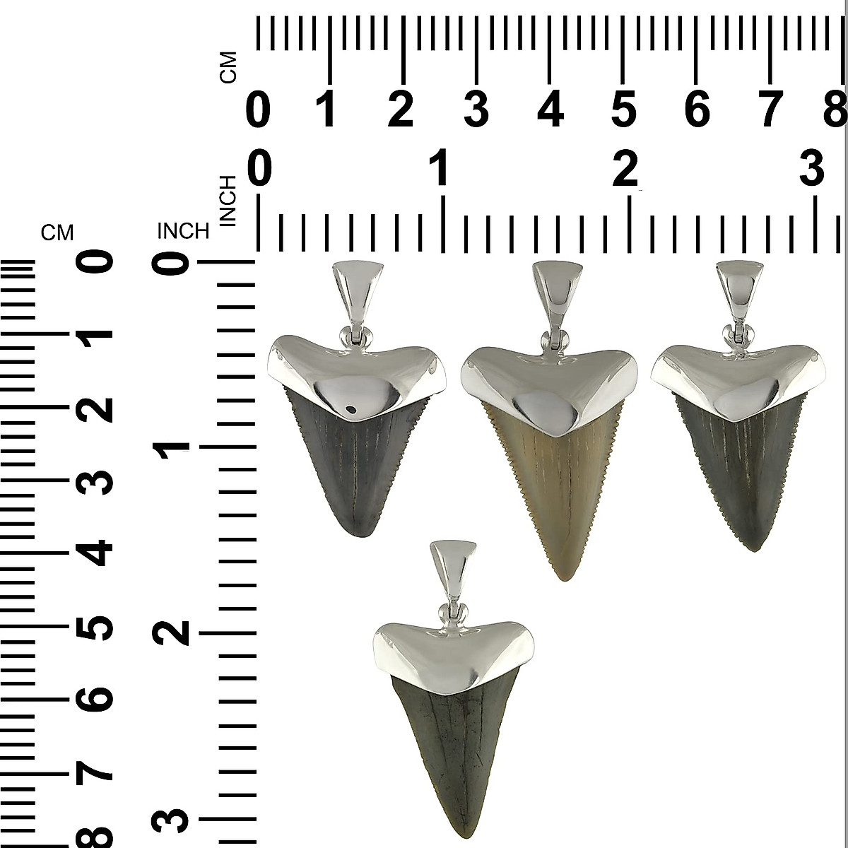 Fossil Shark Tooth Sterling Silver Cap-Set Pendant - Medium