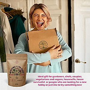 14 Medicinal & Tea Herb Seeds Variety Pack for Planting Indoor & Outdoors. 3500+ Non-GMO Heirloom Herbal Garden Seeds: Anise, Borage, Cilantro, Chamomile, Echinacea, Rosemary, Lavender Seeds & More