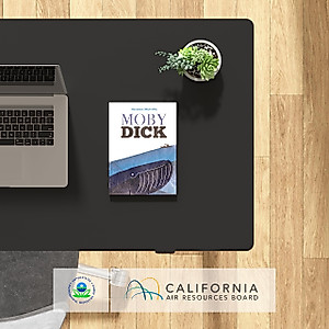 FLEXISPOT EN1 Whole-Piece Standing Desk 40 x 24 Inches Height Adjustable Small Desk Electric Sit Stand Desk Home Office Table Standing Desk (Black Frame + 40 in Black Top)